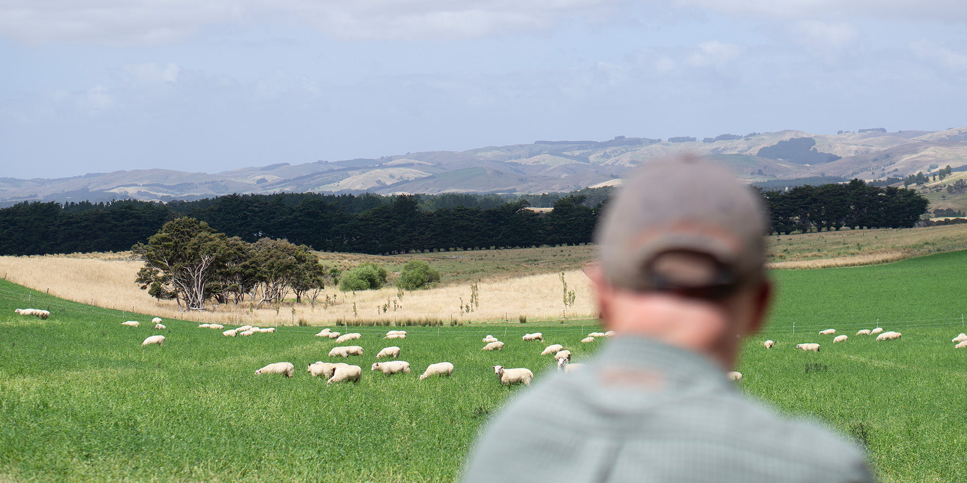 Transparency – Untouched World