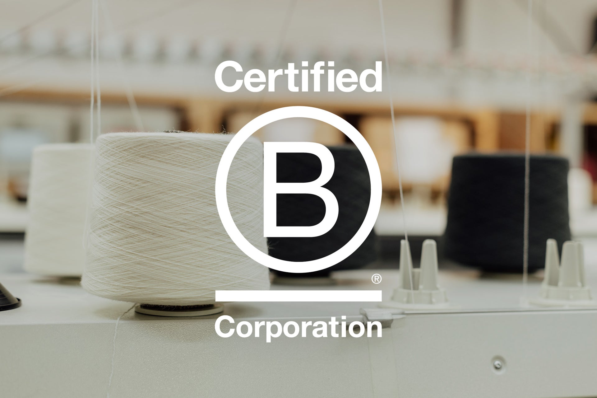 B Corp – Untouched World