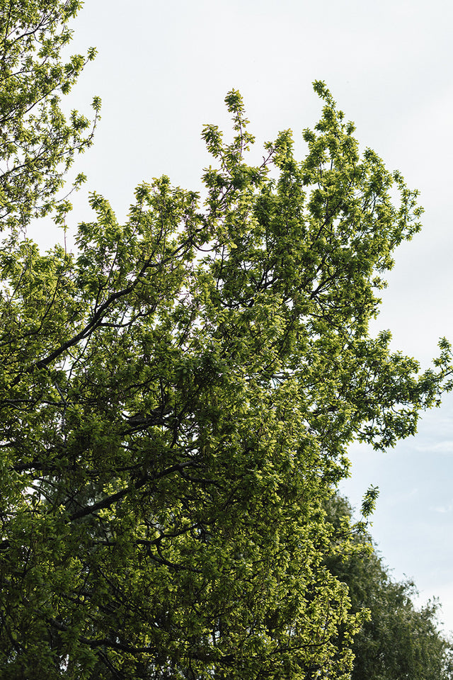 Rib Ecopossum Snood - Waterfall – Untouched World